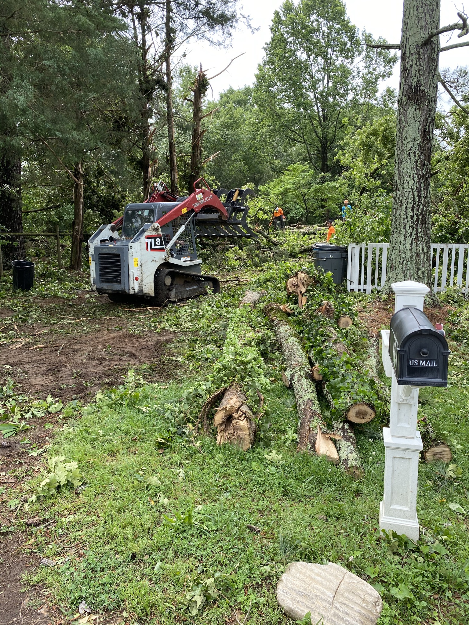 Local Tree Company | Buford, GA | Muller Tree