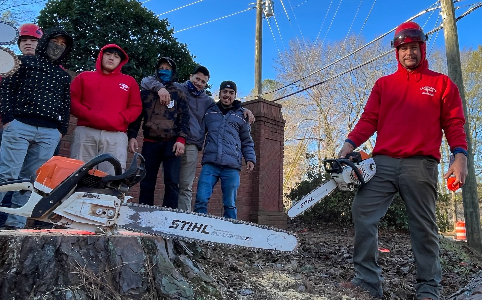 Local Tree Company | Buford, GA | Muller Tree