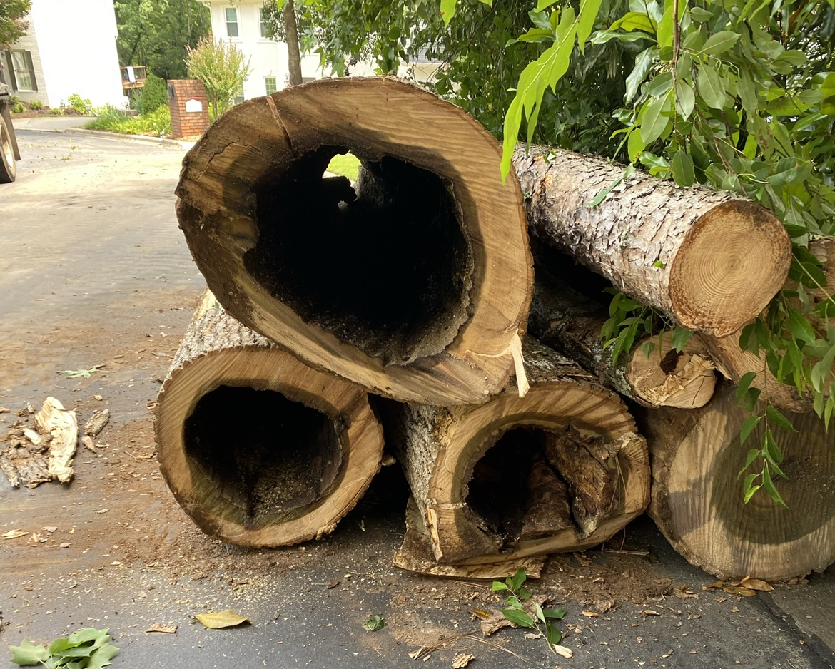 Gallery | Buford, GA | Muller Tree