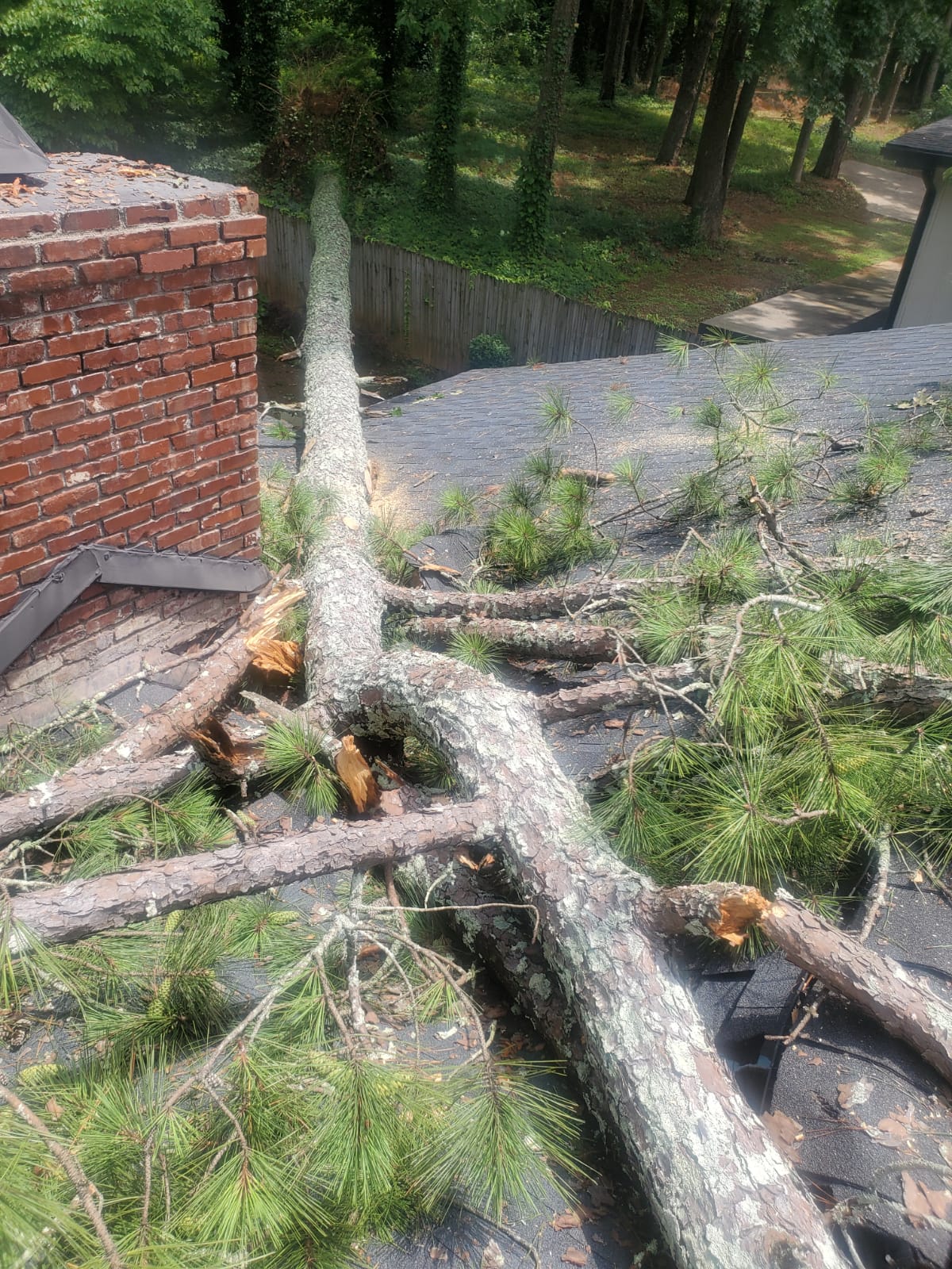 Gallery | Buford, GA | Muller Tree