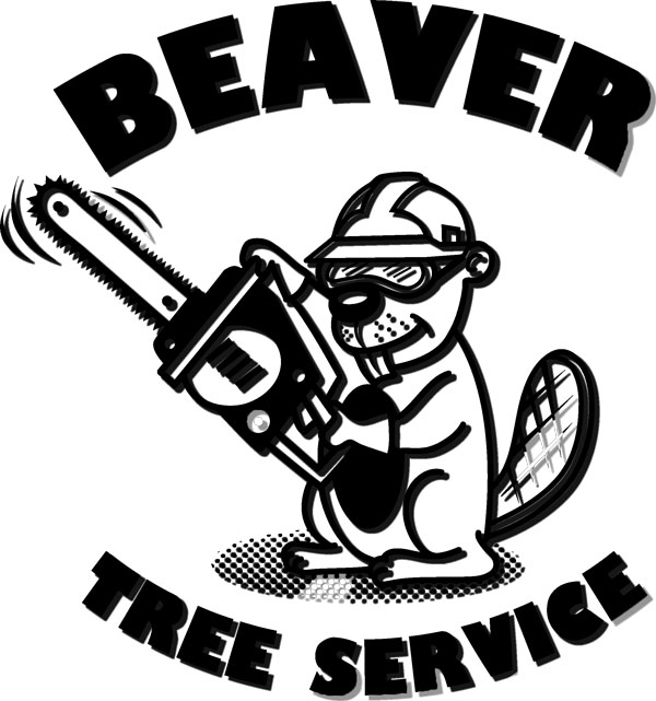 Social Media and Content Marketing Solutions | Allora Media