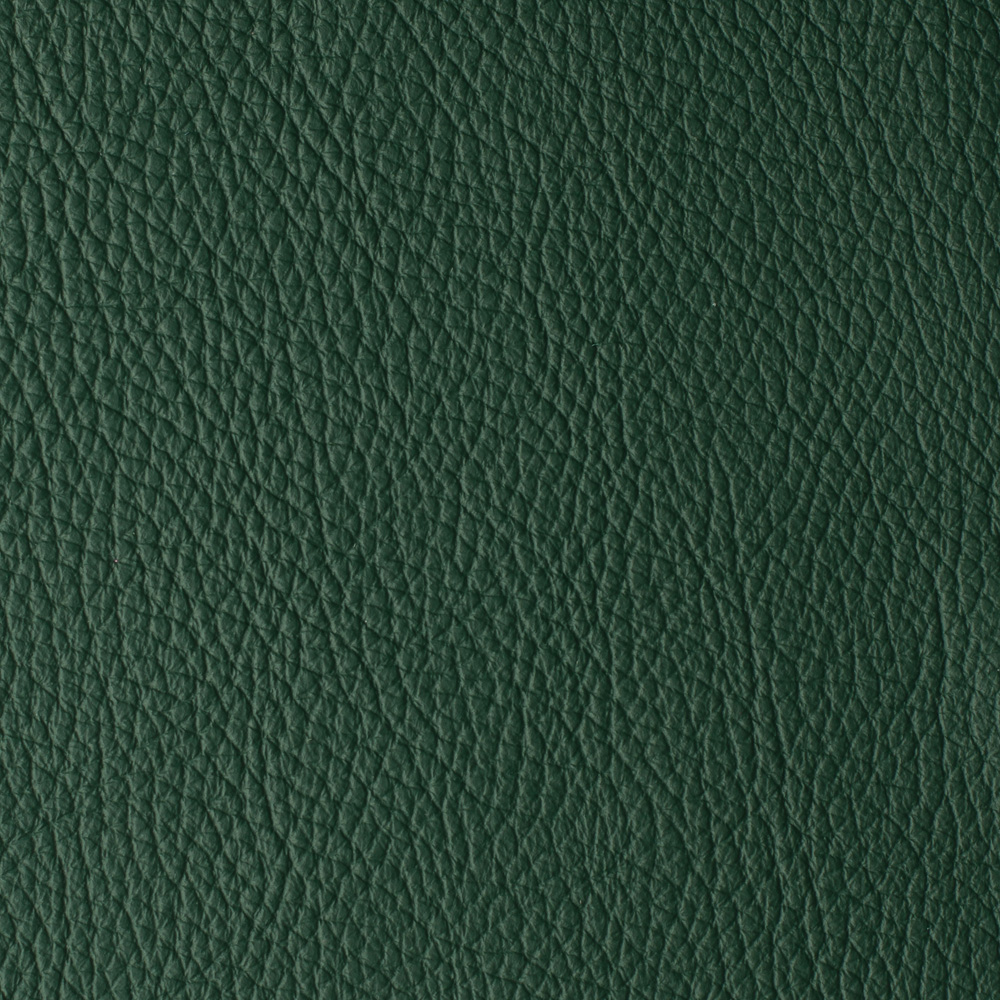 Chicago leather collection
