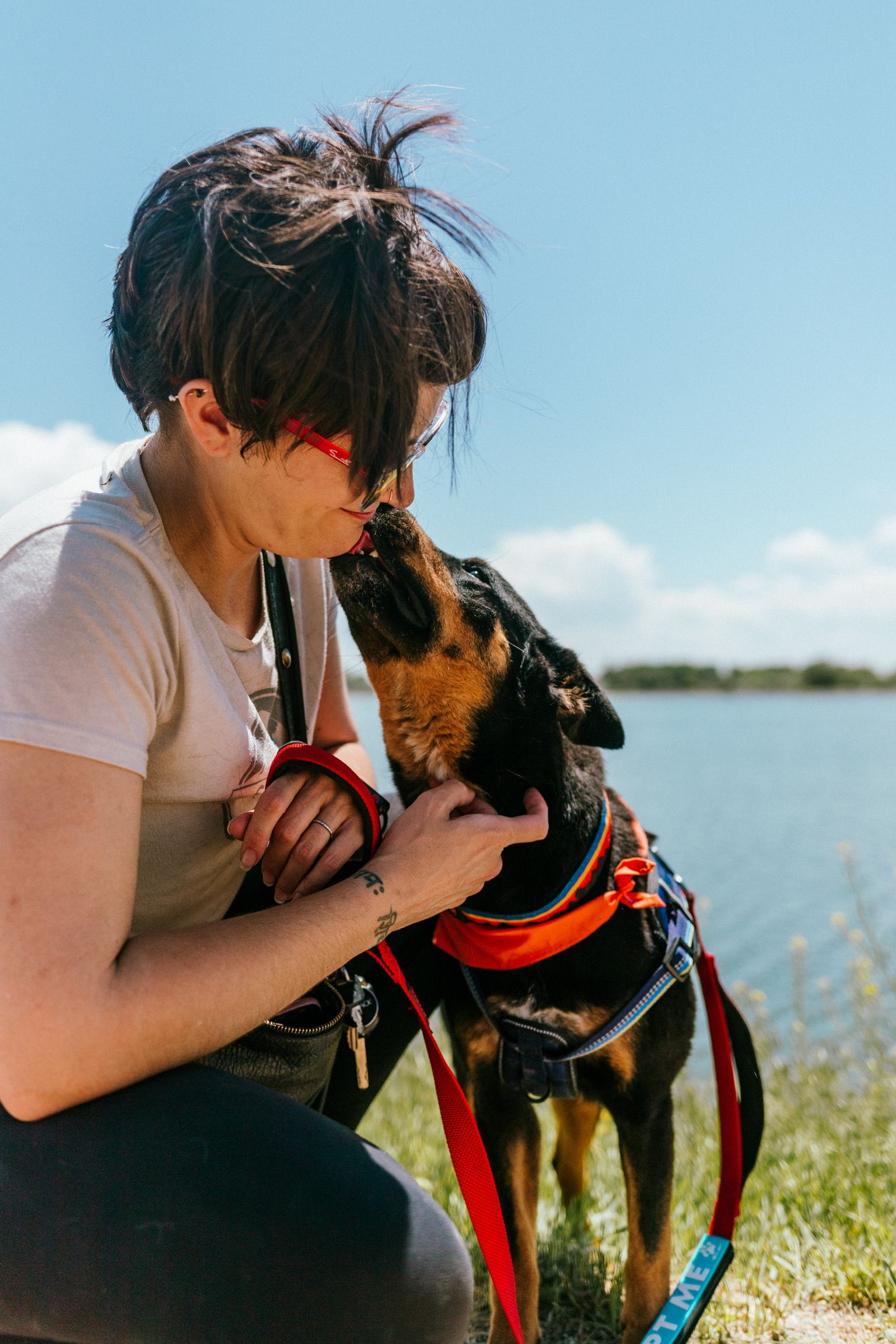 Soul Dog Rescue