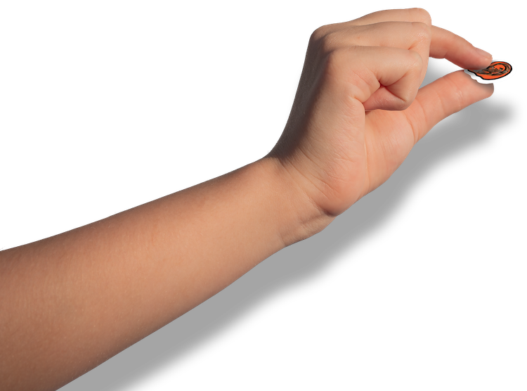 Welcome to the Trilith Foundation Art Experience