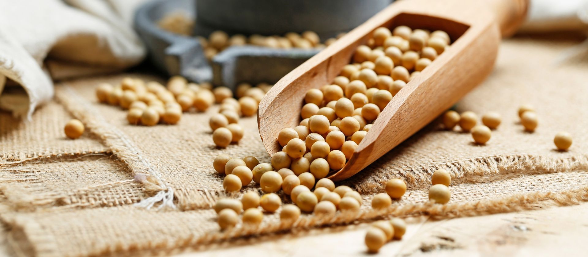 Nattokinase Bacillus Natto - Prife