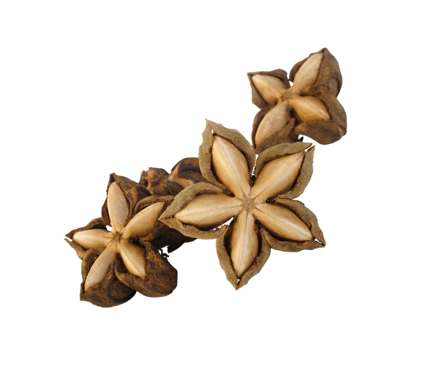 Sacha Inchi Nuts - Prife