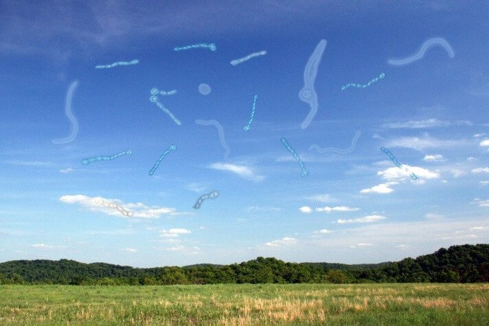 Symptomatic floaters: what are they and how are they treated?