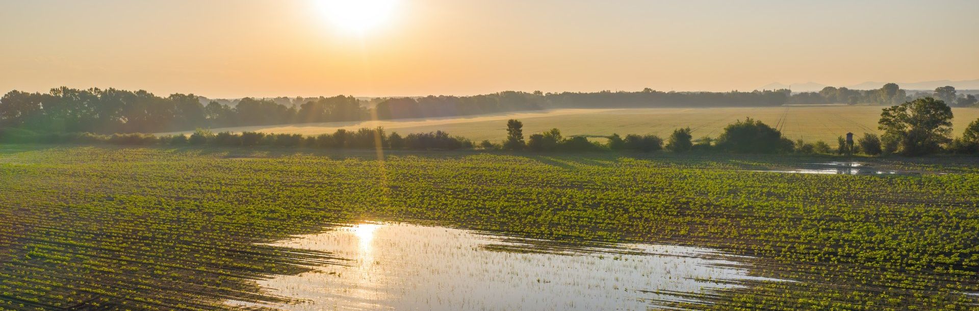 Micro-Drainage: The Next Generation Solution for Sustainable Water ...