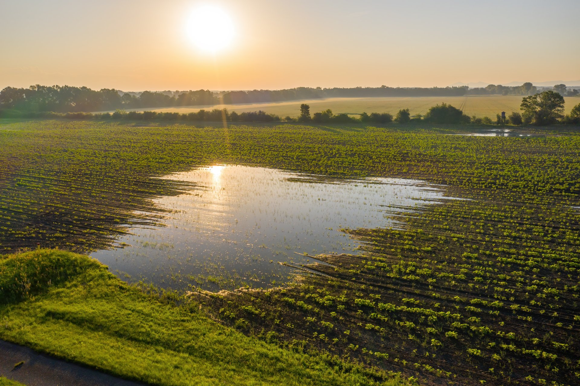 4 Reasons Why Drainage Systems Are Important in Agriculture