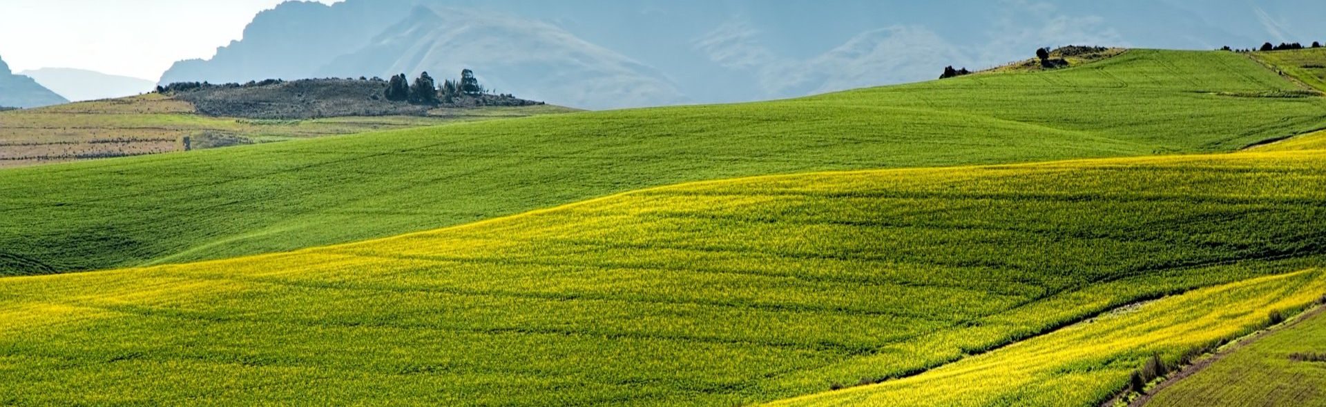 Reimagining Drainage: How Micro-Drainage Systems Transform Urban Landscapes