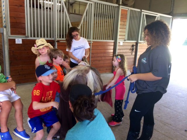 Vantage Point Farm • Tomball, TX • Photo Galleries