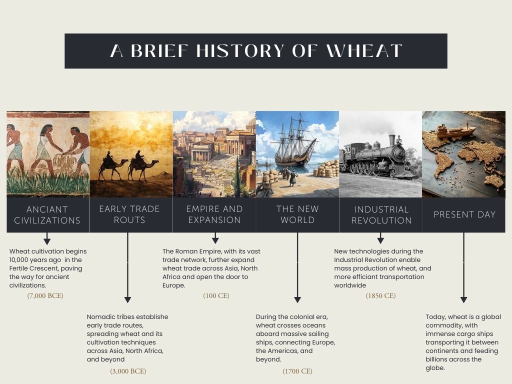 Wheat: The Staple Crop That Sustains Billions Worldwide