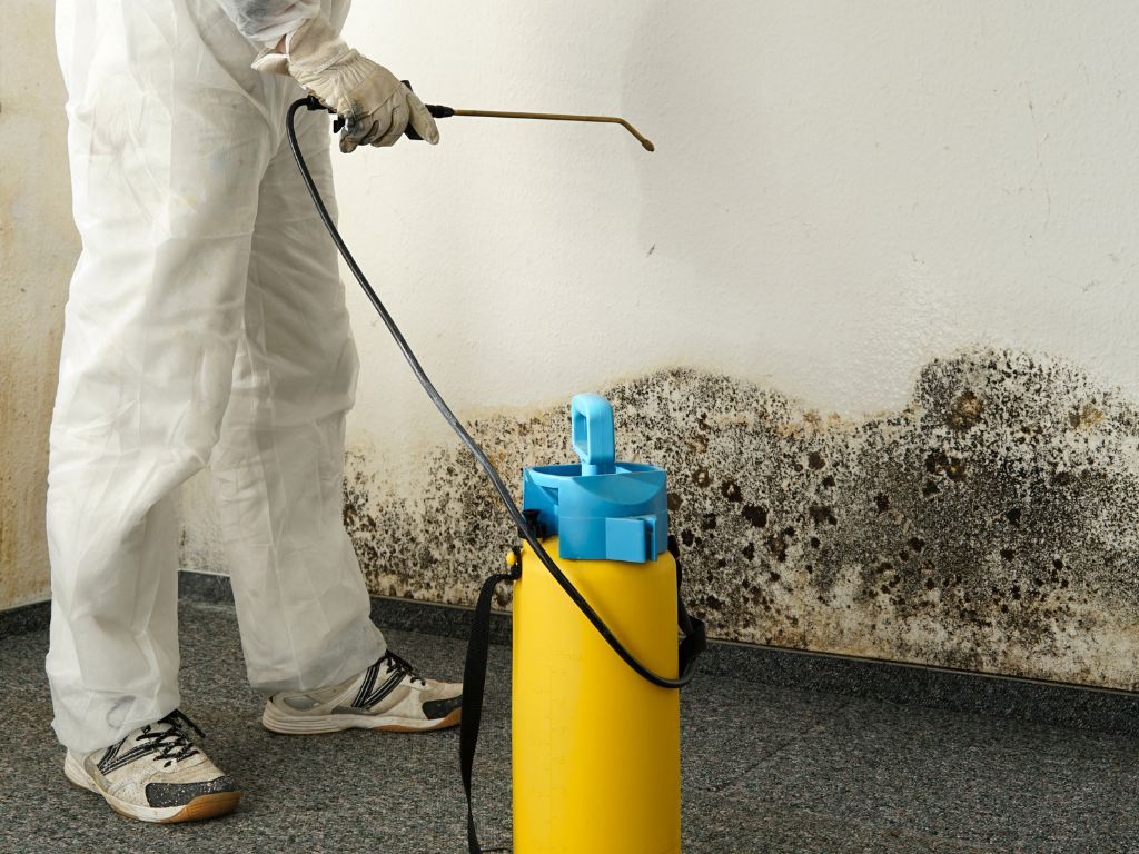 Mattra Inc. Insulation, Contracting & Mold Remediation