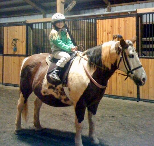 Safe Lesson Horses • Lenux Stables & Riding Academy • Huntersville, NC