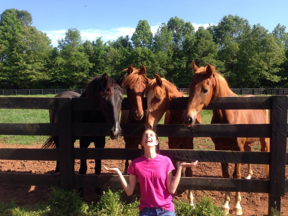 What We Do • Equestrian Activities at Lenux Stables & Riding Academy ...