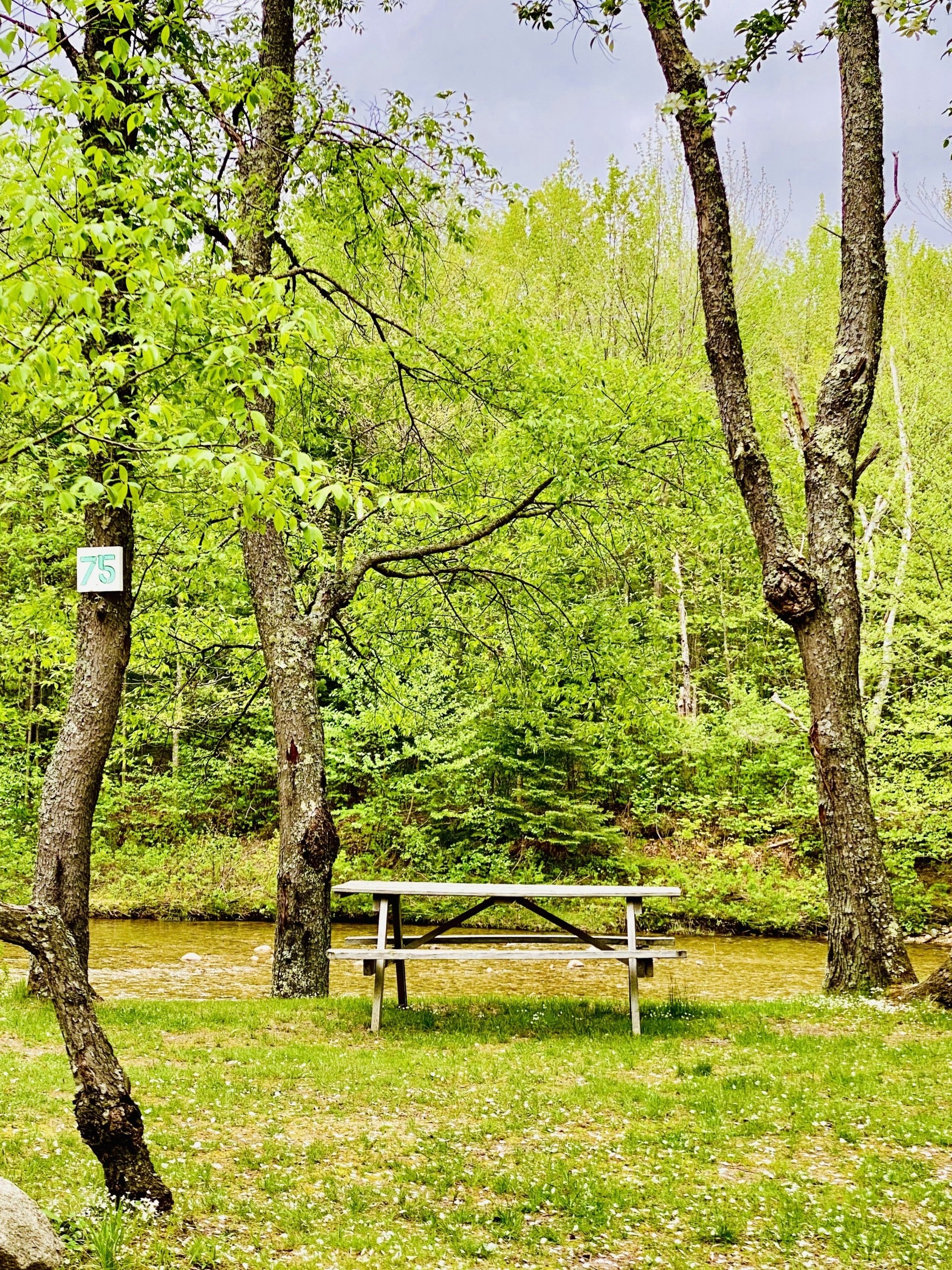 Campground Map Gallery | Twin Mountain Campground | New Hampshire
