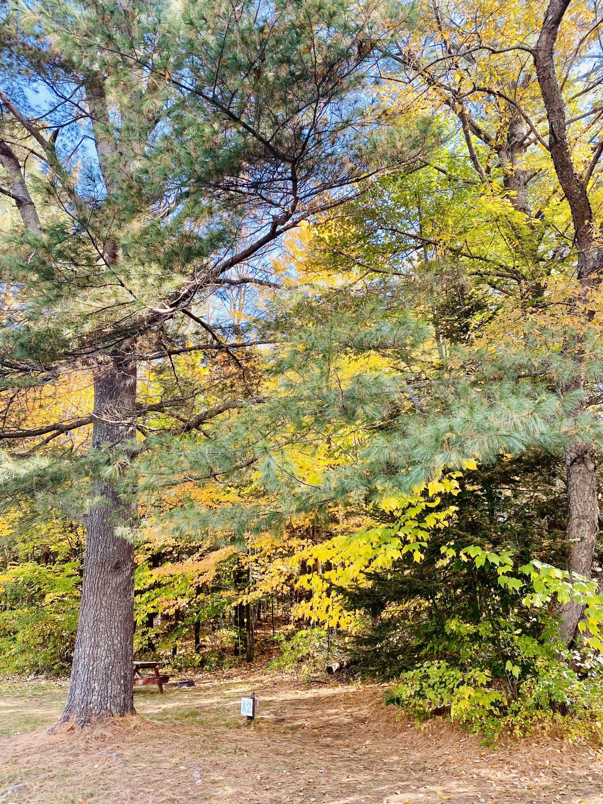 Campground Map Gallery | Twin Mountain Campground | New Hampshire