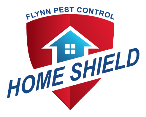 Residential Pest Control | Rehoboth, MA | Flynn Pest Control