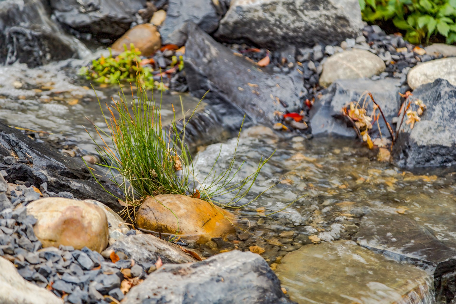 Water Feature Installers | Calgary | Rocky Mountain Waterscapes