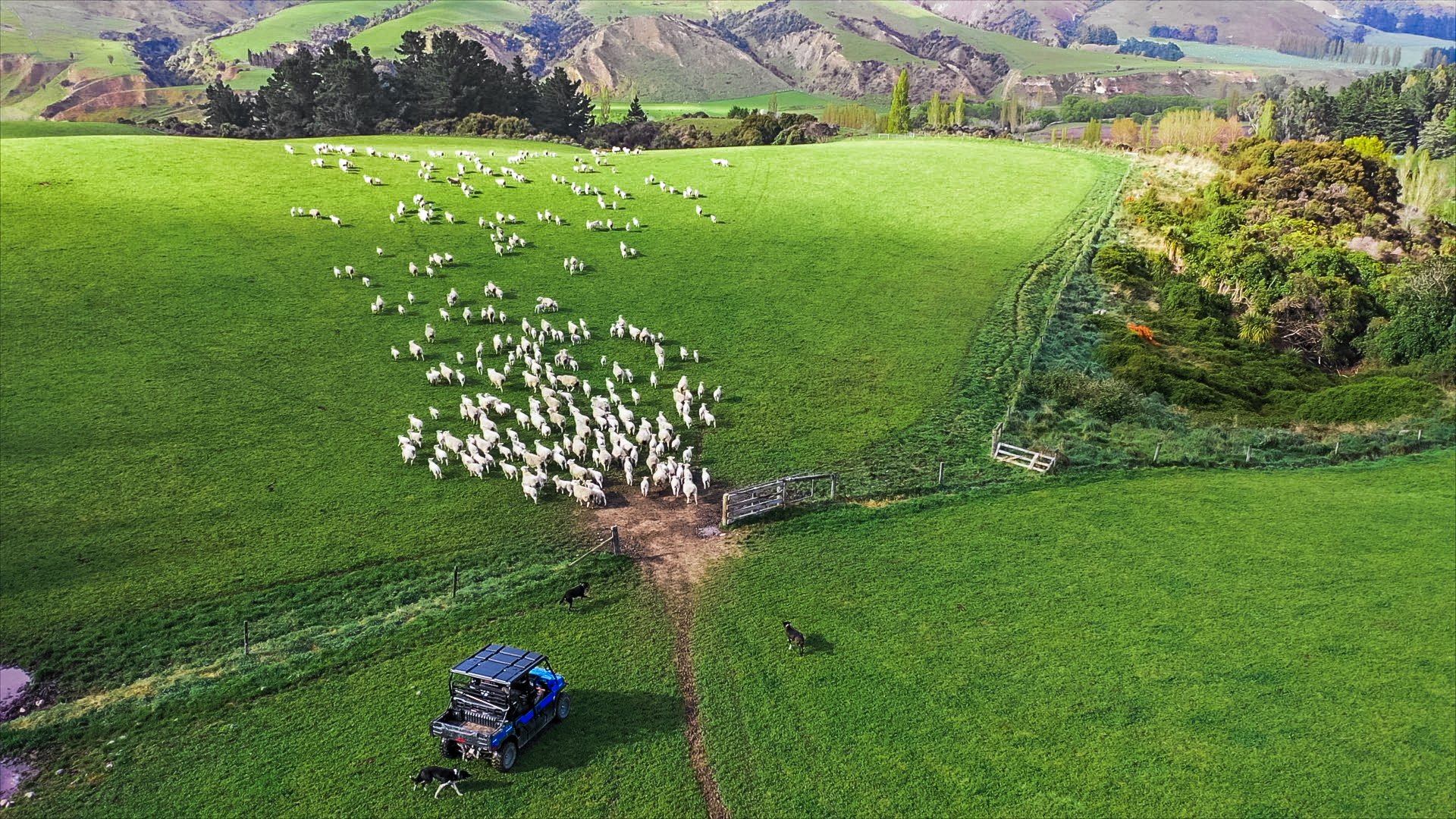 Tawanui Farm Tours, Glamping & Jet Boating Hurunui