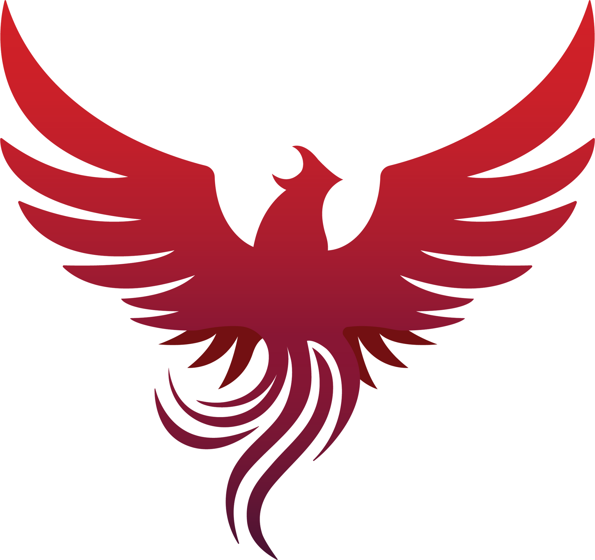 Professional Digital Marketing Agency - Poughkeepsie NY | R.I.S.E.