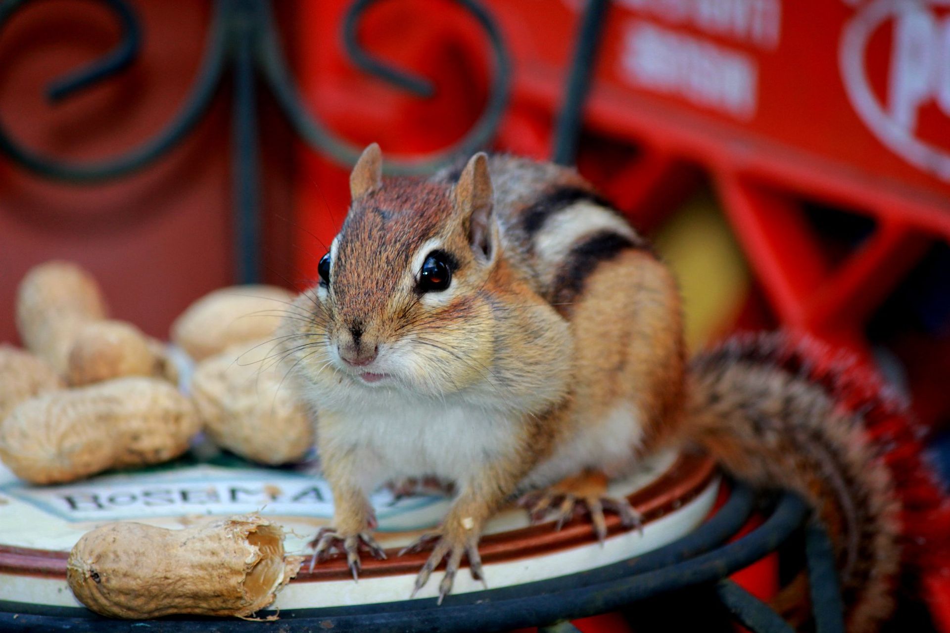 Gallery of Photos | Burke, Vermont