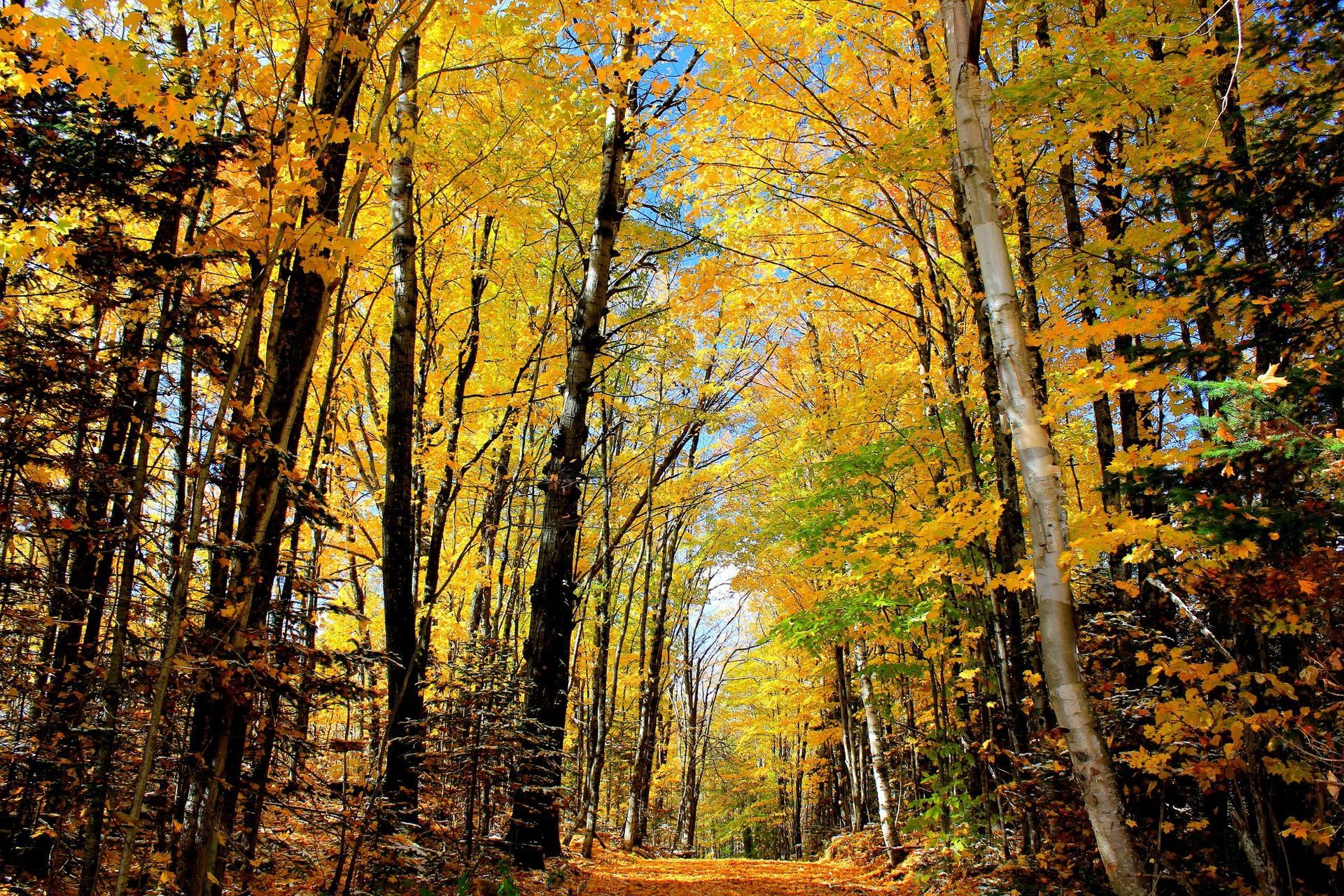 Gallery of Photos | Burke, Vermont