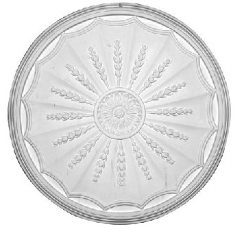 Centre Ceiling Panel Designs | Perth, WA