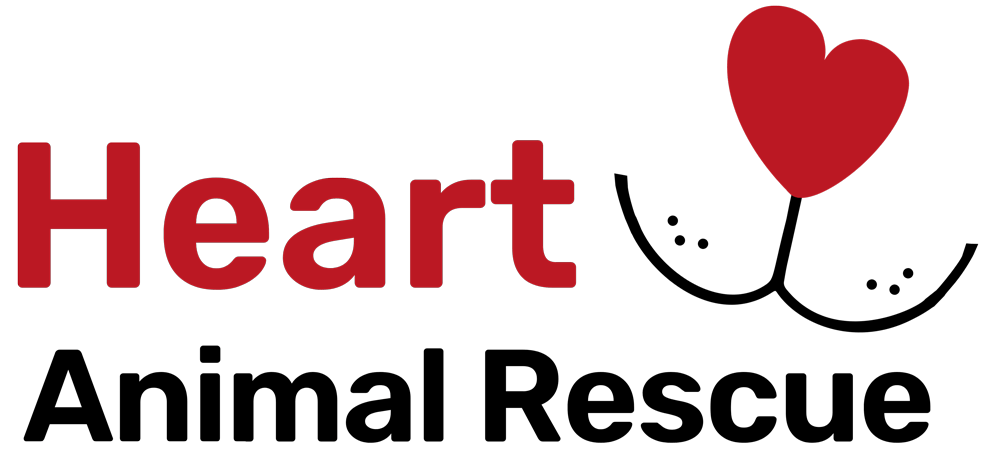 Heart Animal Rescue - Adopt