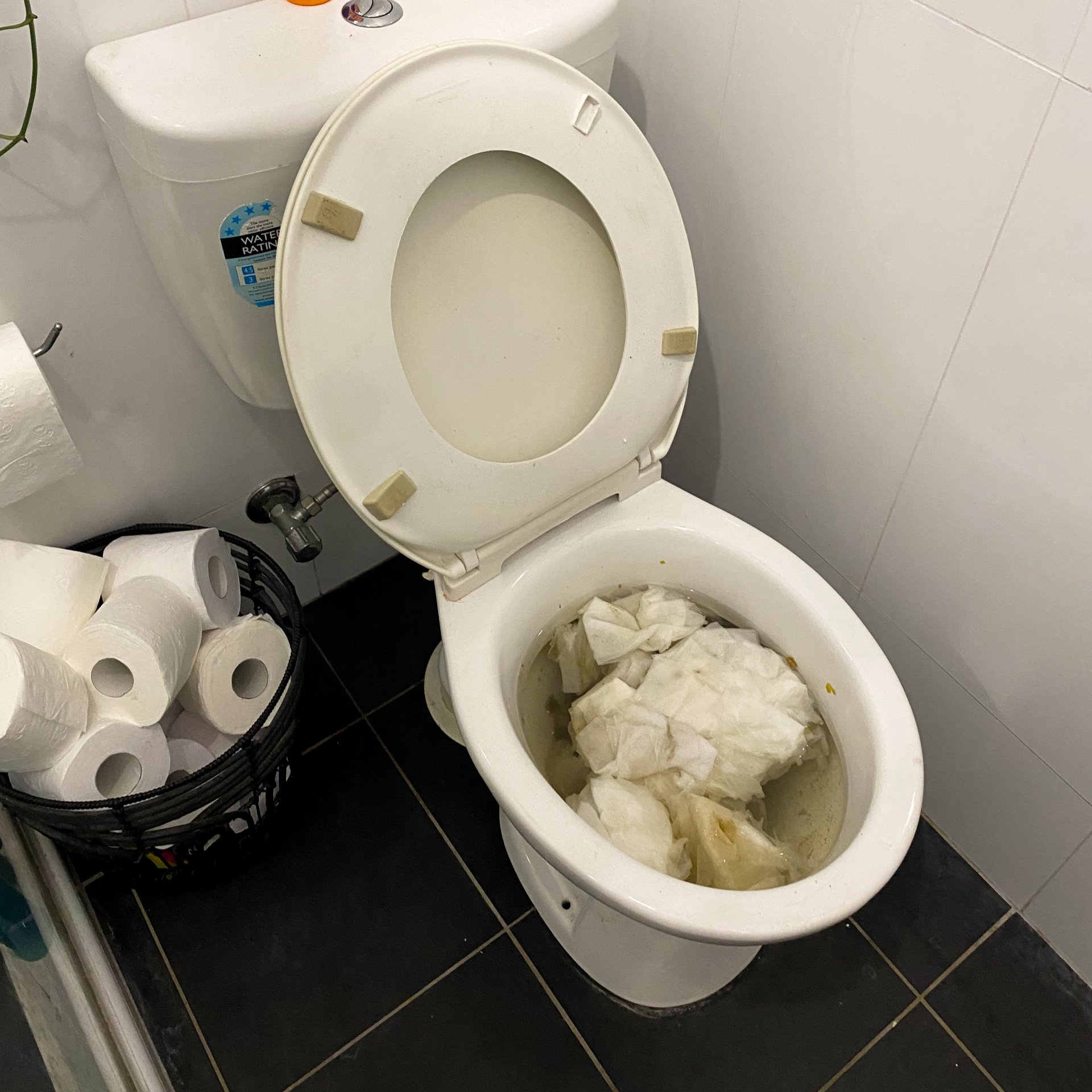 BEST Blocked Toilet Plumber Near You In Sydney - How to fix a Blocked ...