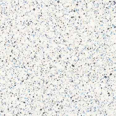 EcoFINISH Product Information | St. Louis, MO | Aqua Ridge Pool Finishing