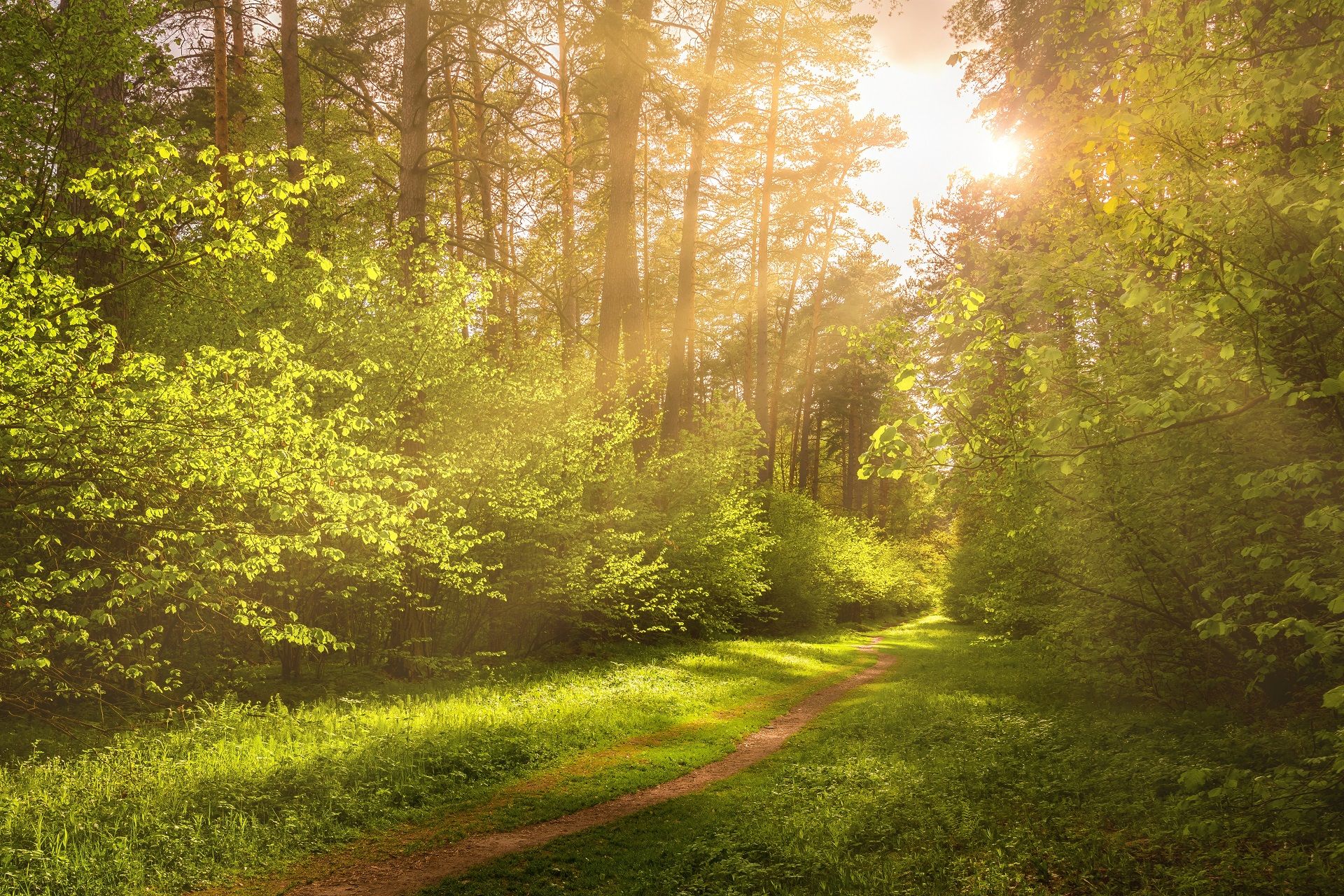 Relihan Funeral Home