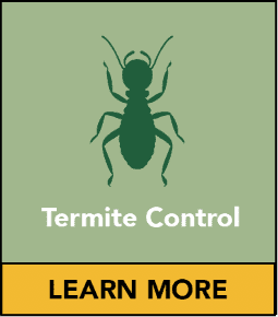 Eco Advantage Termite & Pest Solutions | Mosquito Control ...