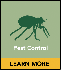 Eco Advantage Termite & Pest Solutions | Mosquito Control ...