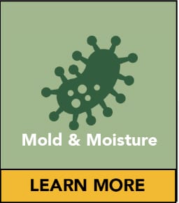 Eco Advantage Termite & Pest Solutions | Mosquito Control ...