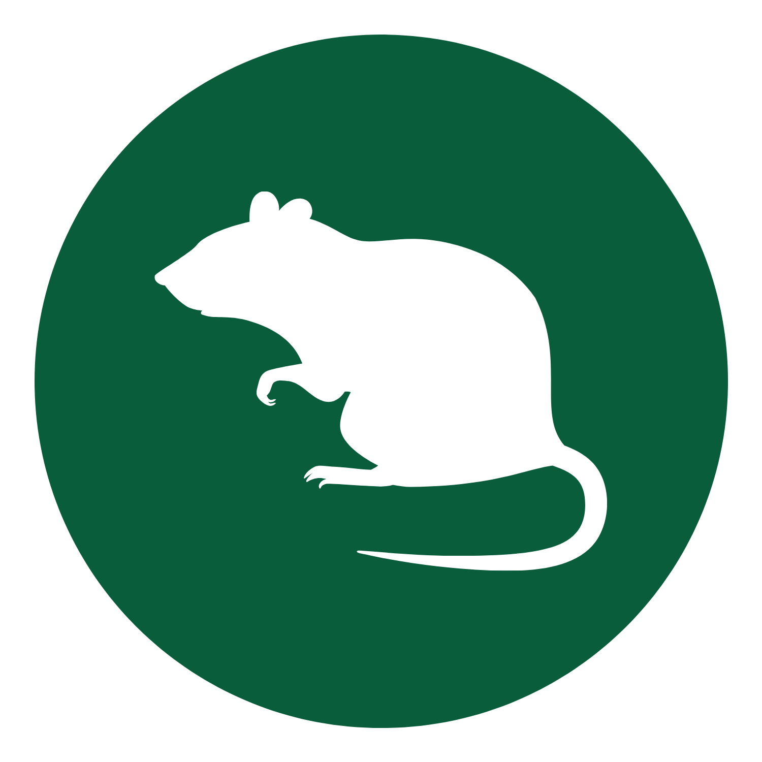 Pest Control | Parrish, FL | 941-729-6564