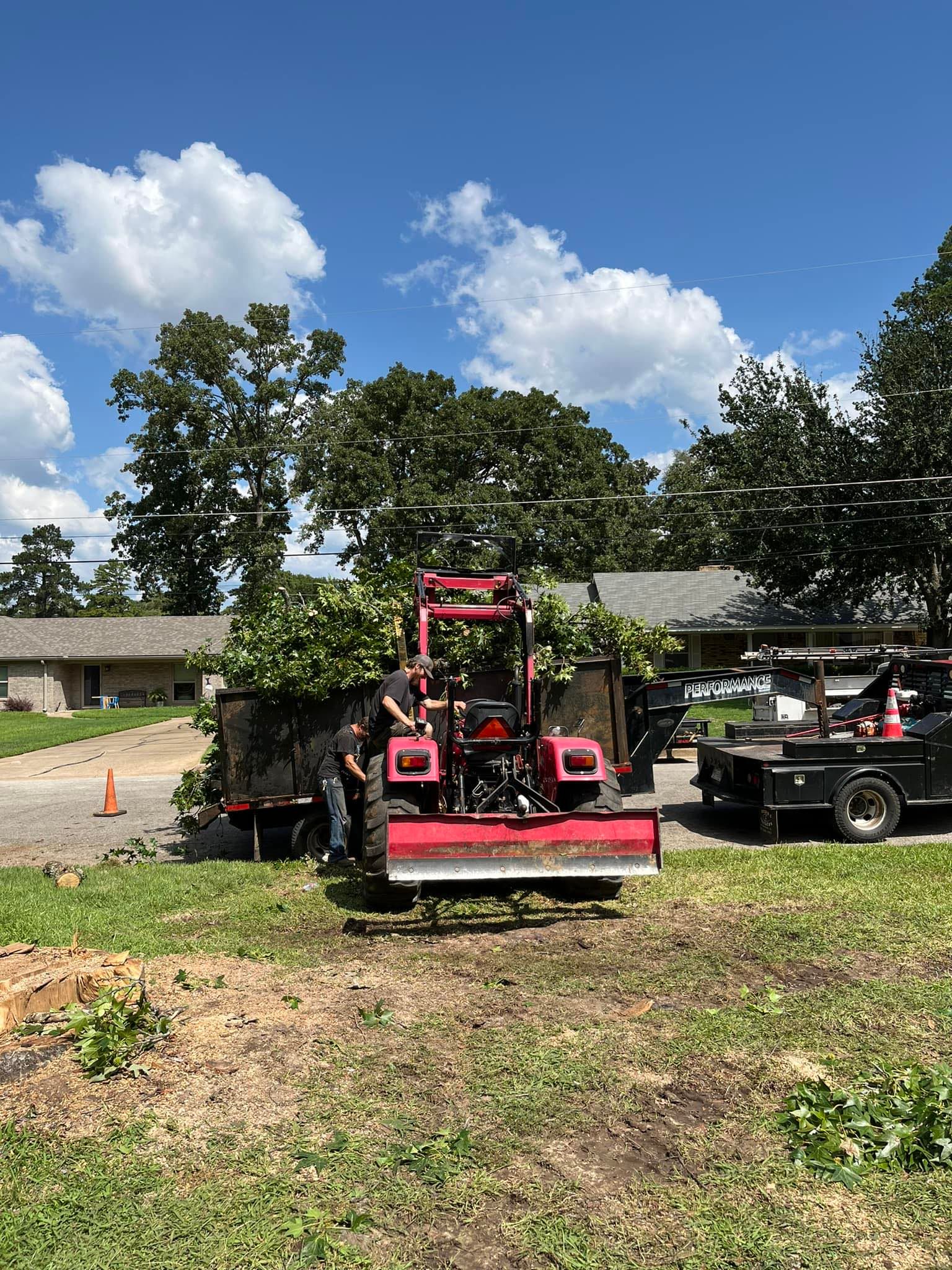 Tree Service in Gladewater, TX | SM Tree Service