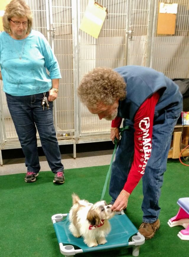 Local Dog Trainer in Harrisburg, NC