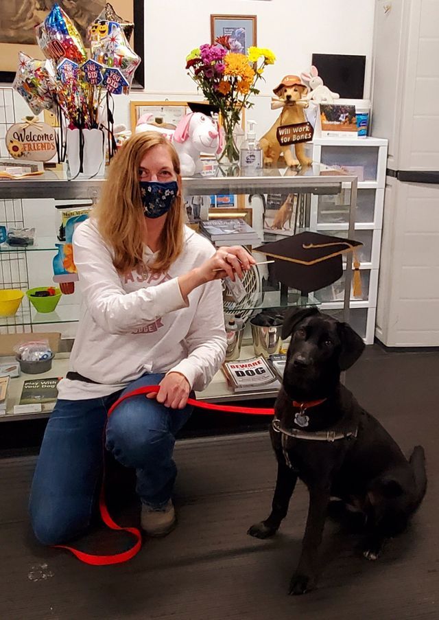 Local Dog Trainer in Harrisburg, NC