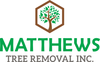 Tree Removal Services | Matthews Tree Removal Inc
