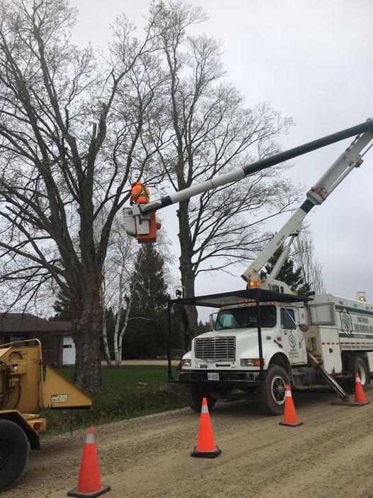 Tree Removal| Matthews Tree Removal Inc
