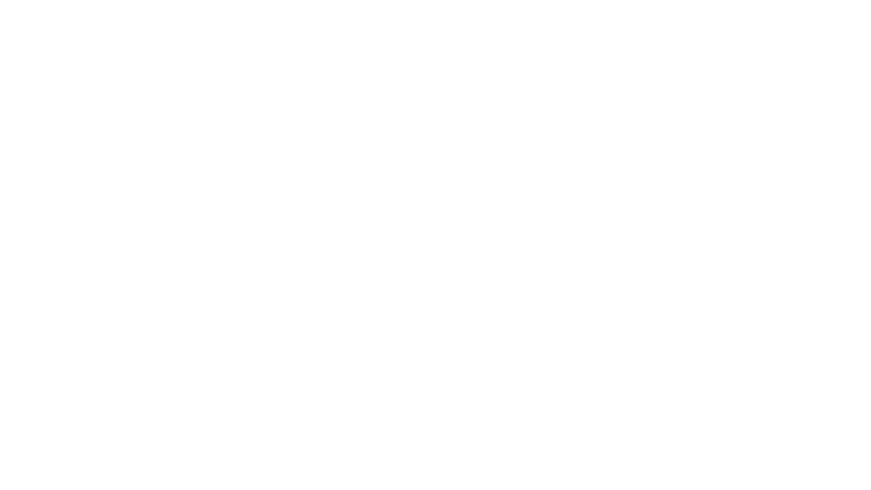 Home [www.maxipro.org]