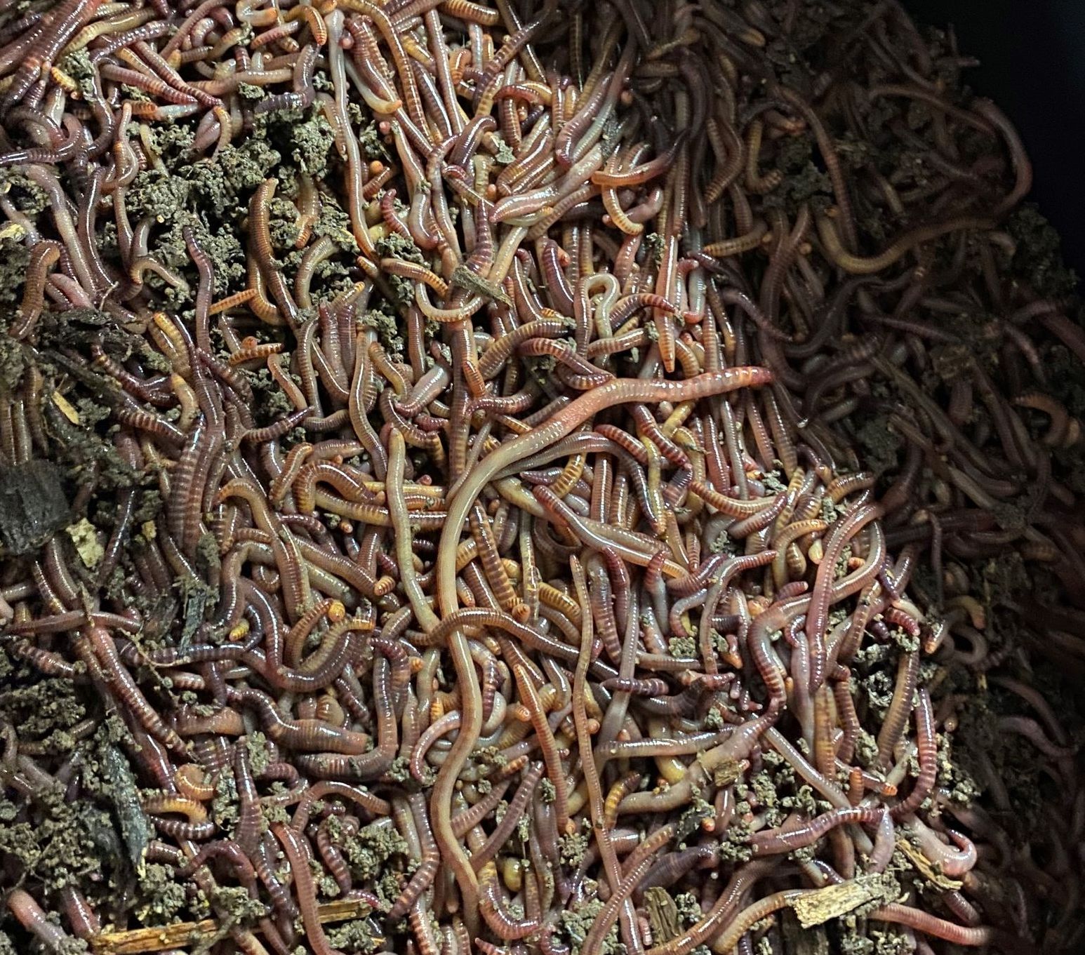 Fishing Equipment in Inverell | Posties Outdoors