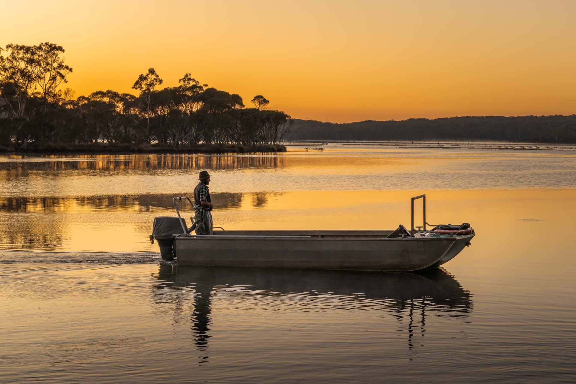 Sydney Rock Oysters from Pambula Lake, Sapphire Coast