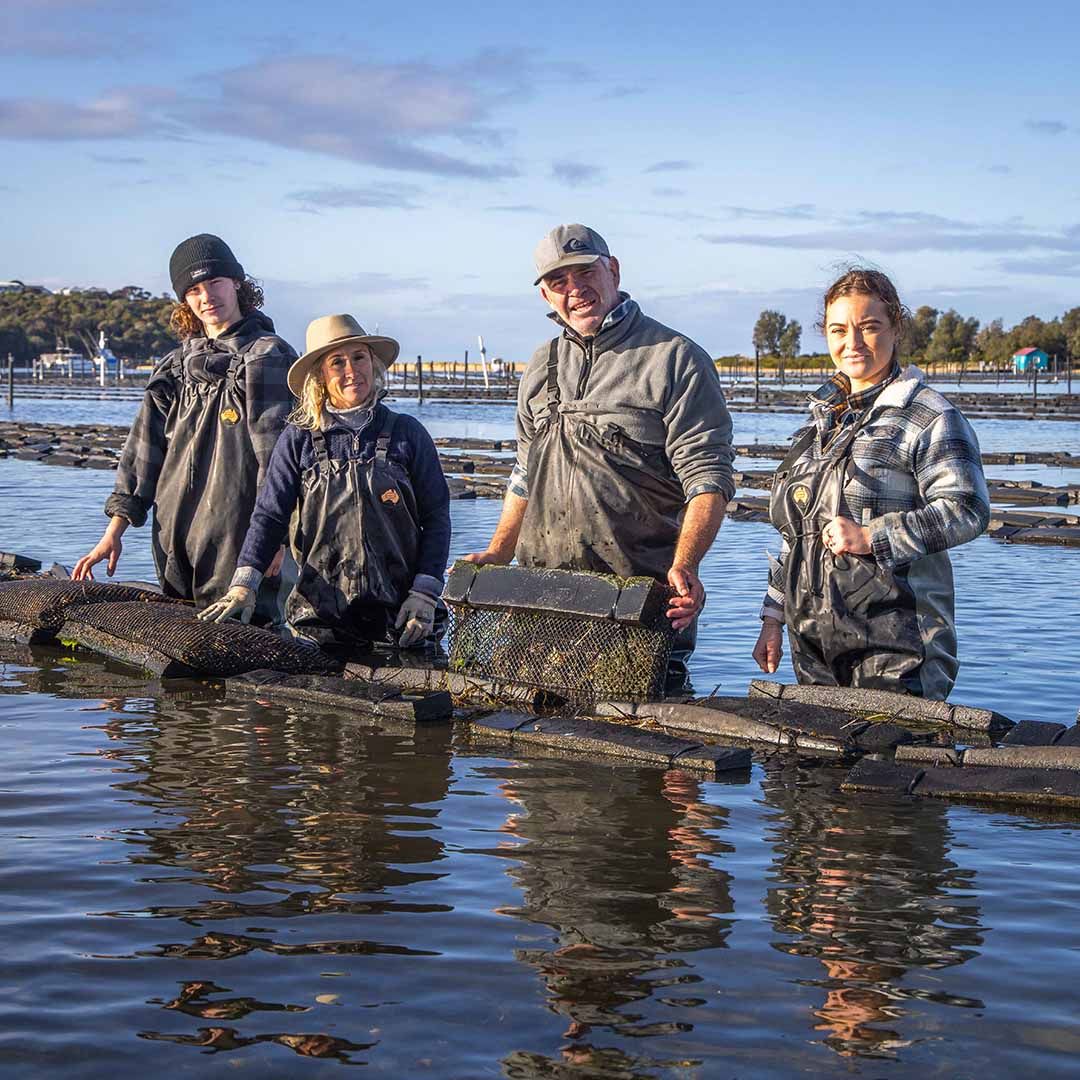 Sydney Rock Oyster Farmers, Merimbula Lake NSW
