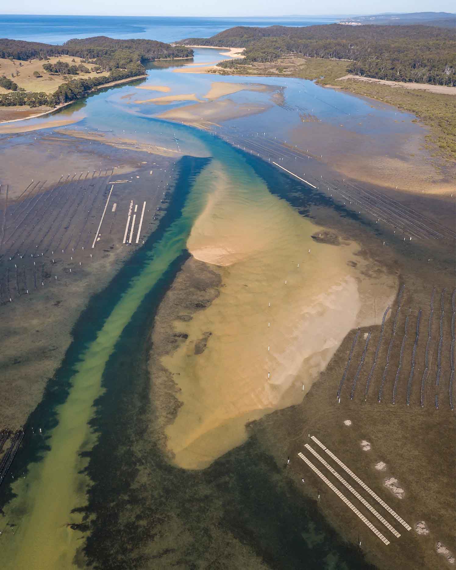 About Sapphire Coast Sydney Rock Oysters