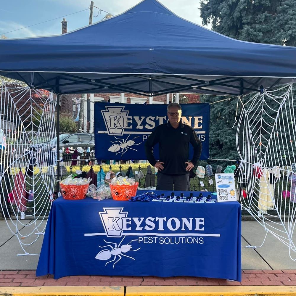 Lancaster County's Local Choice For Pest Control Treatment