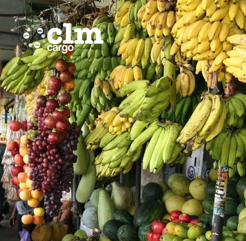 Exportación de Frutas desde Colombia: Guía Completa