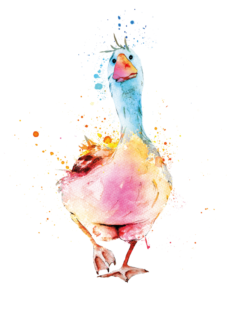 Dizzy Duck Cafe | Auchingarrich Wildlife Park