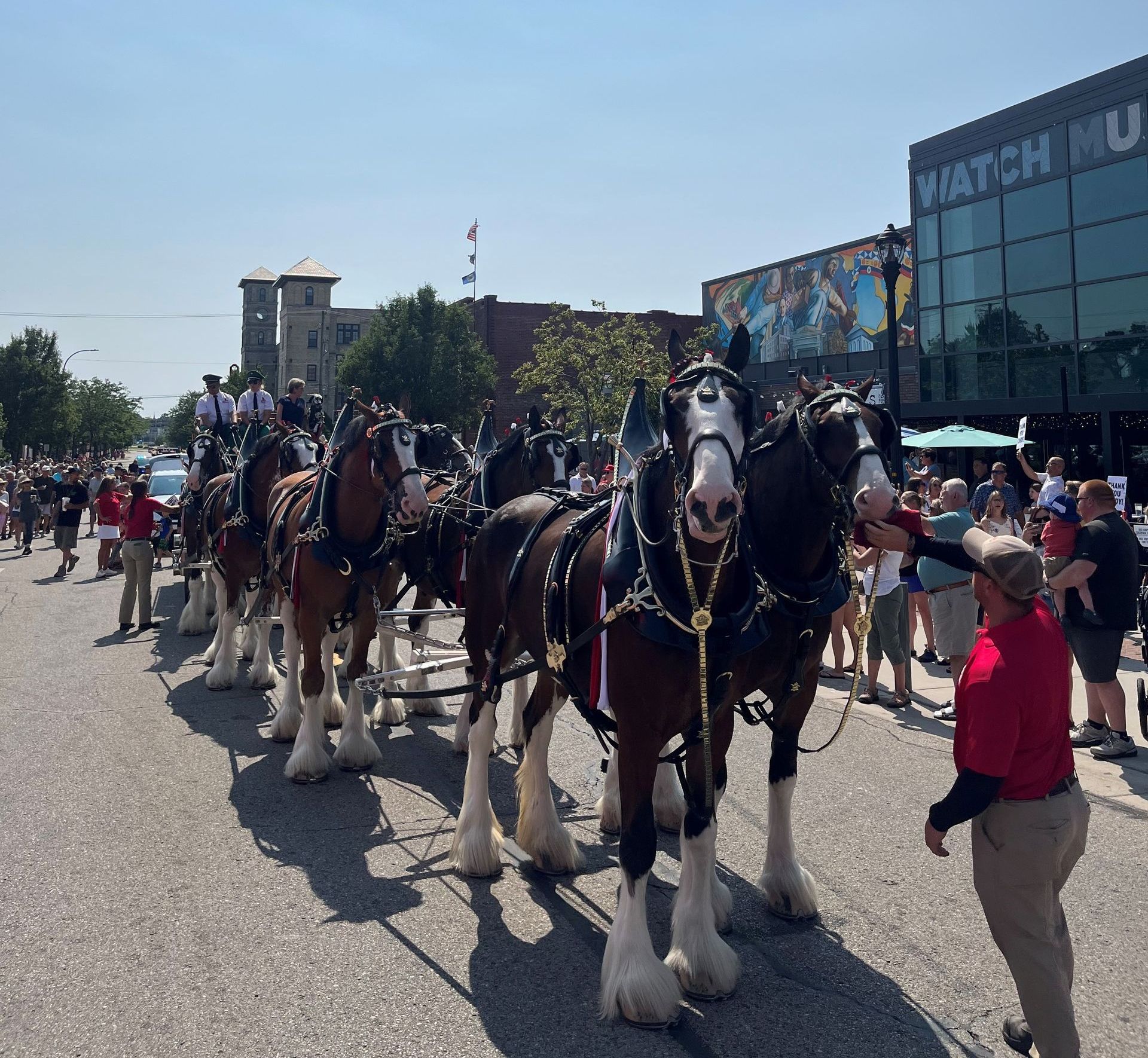 Tyler Sales celebrates 90 years with Budweiser Clydesdales